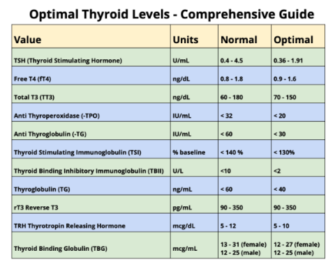 Testing Your Thyroid: The Definitive Guide to Thyroid Lab Tests and ...