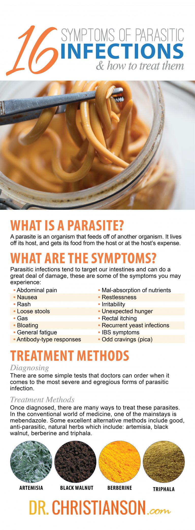 The Truth About Parasites: Avoiding, Treating, and Defeating