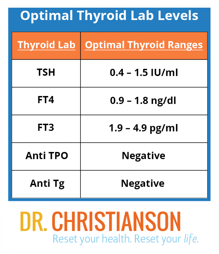 Guide Optimal Thyroid Levels Testing Dr Christianson