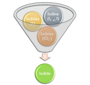 Iodine: Do You Need More or Less? | Dr. Christianson